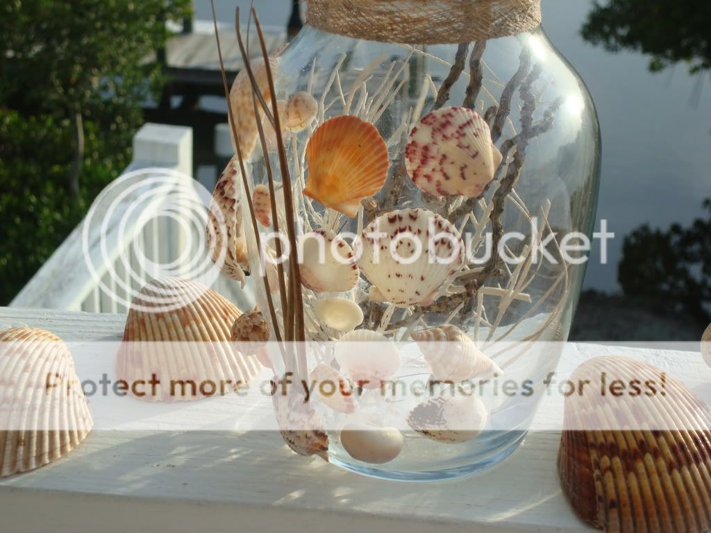 Vases With Seashells at Hunter Wang blog