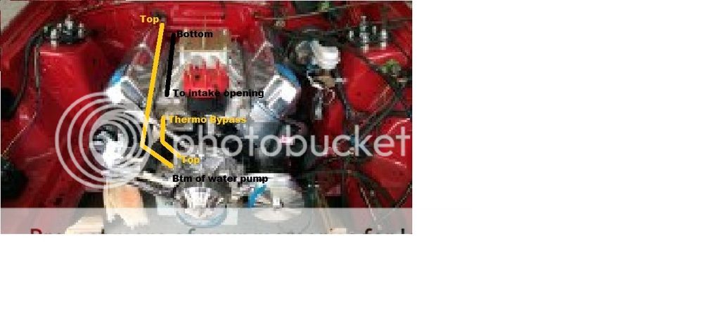 New Here and need some help on 351w heater hoses | Ford Mustang Forums