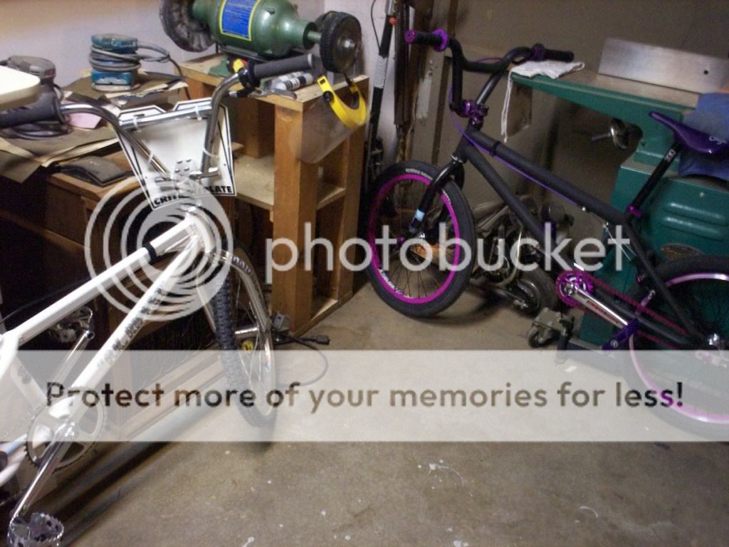 Let's See Those Garages Full Of BMX! - BMXmuseum.com Forums