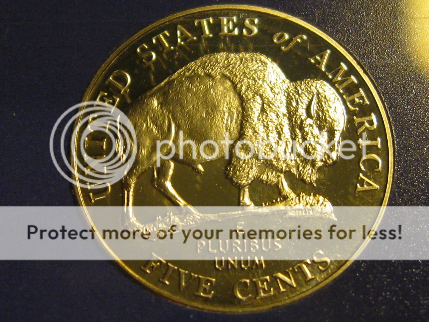 2005 Buffalo Nickel With Detached Leg, To Make up for my earlier ...